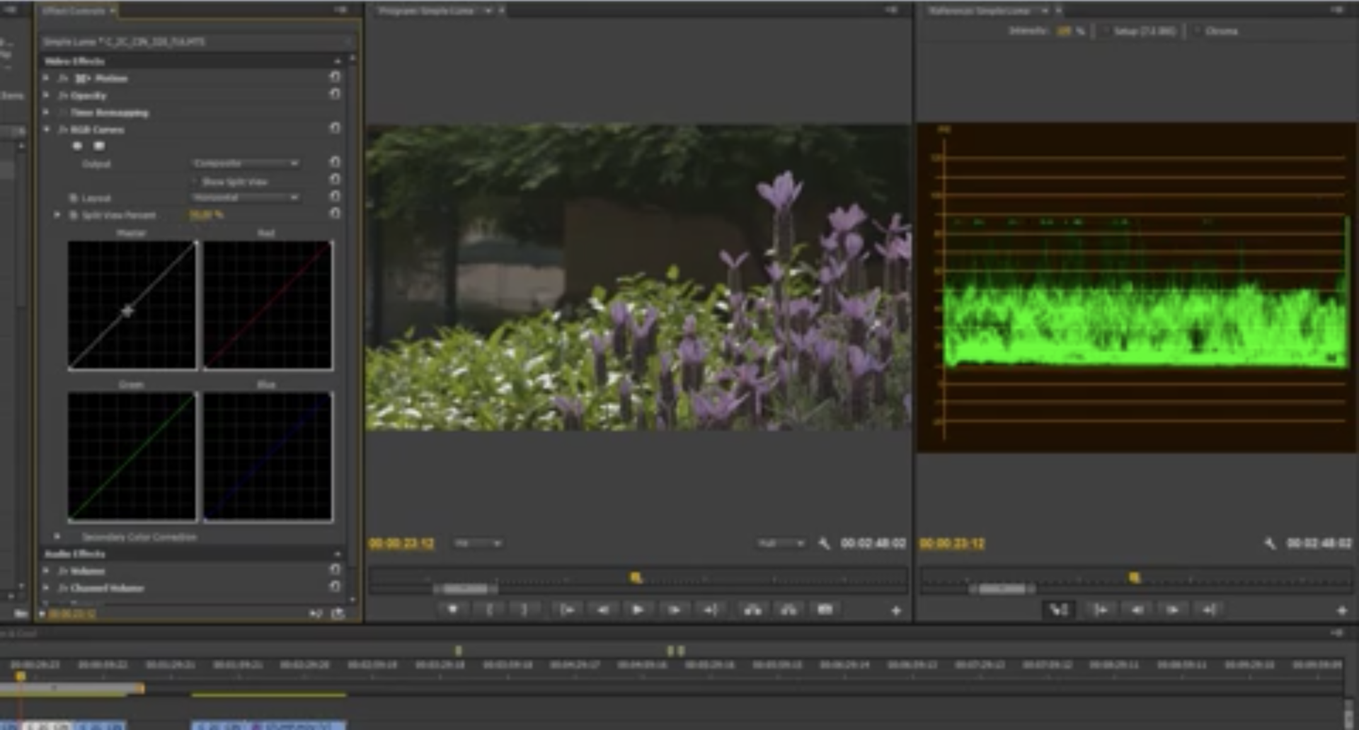 Curves Controls for Luma Corrections - Videomaker