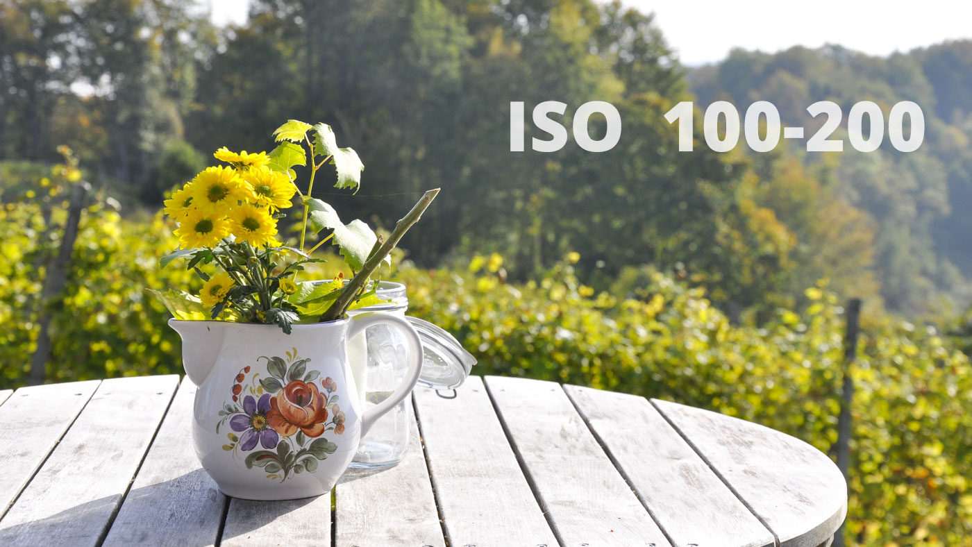 ISO: What it is and how to control it - Videomaker