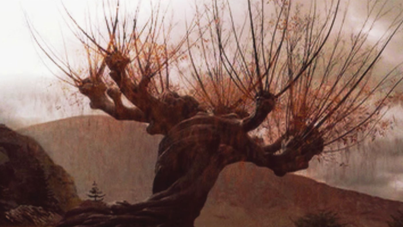 How and why to master the invisible edit - Videomaker