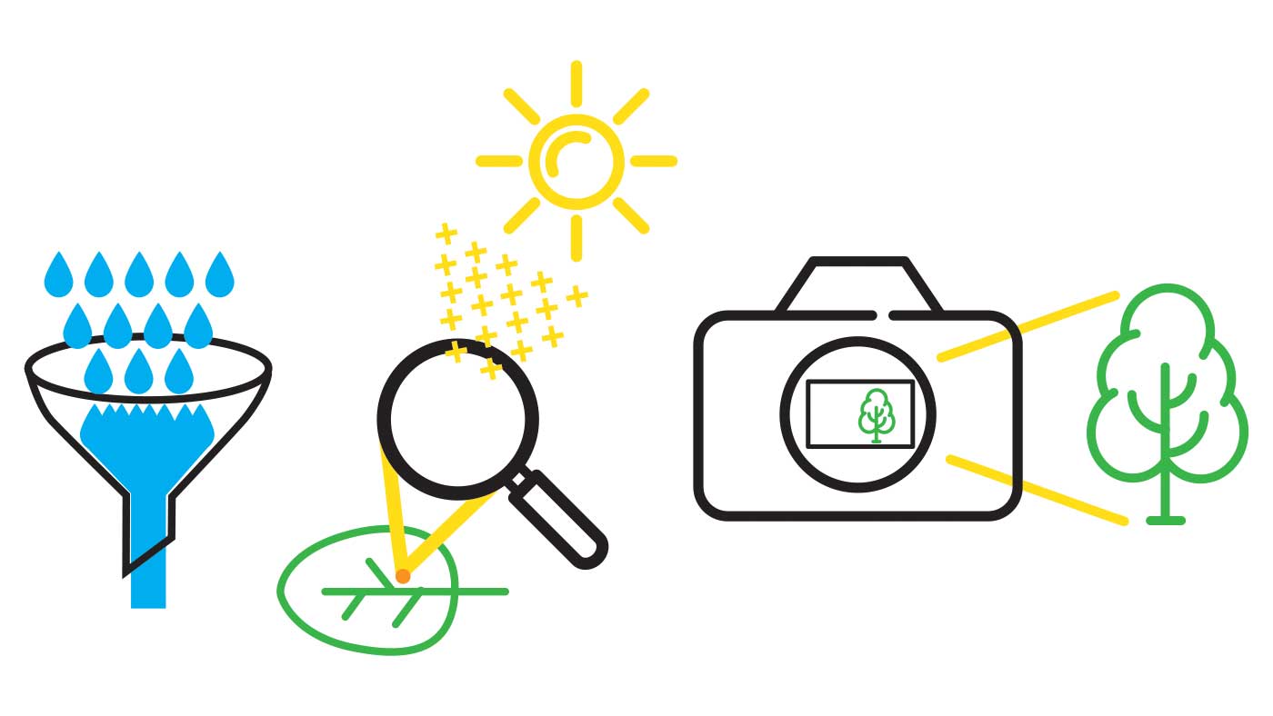 Lenses: How does focus work? - Videomaker