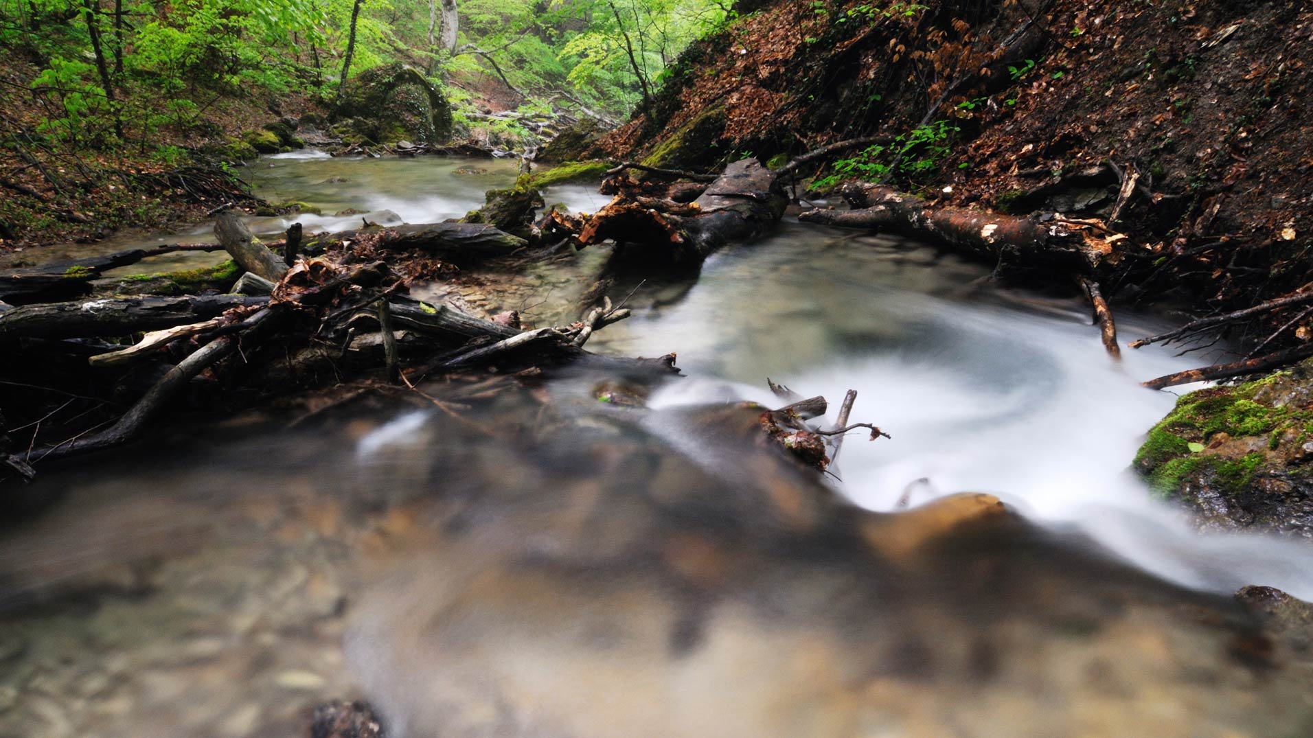 Camera Movements - The Hyper-lapse - Videomaker