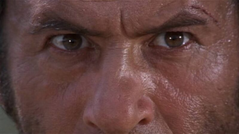 The close-up shot: Why it's so important in cinema - Videomaker