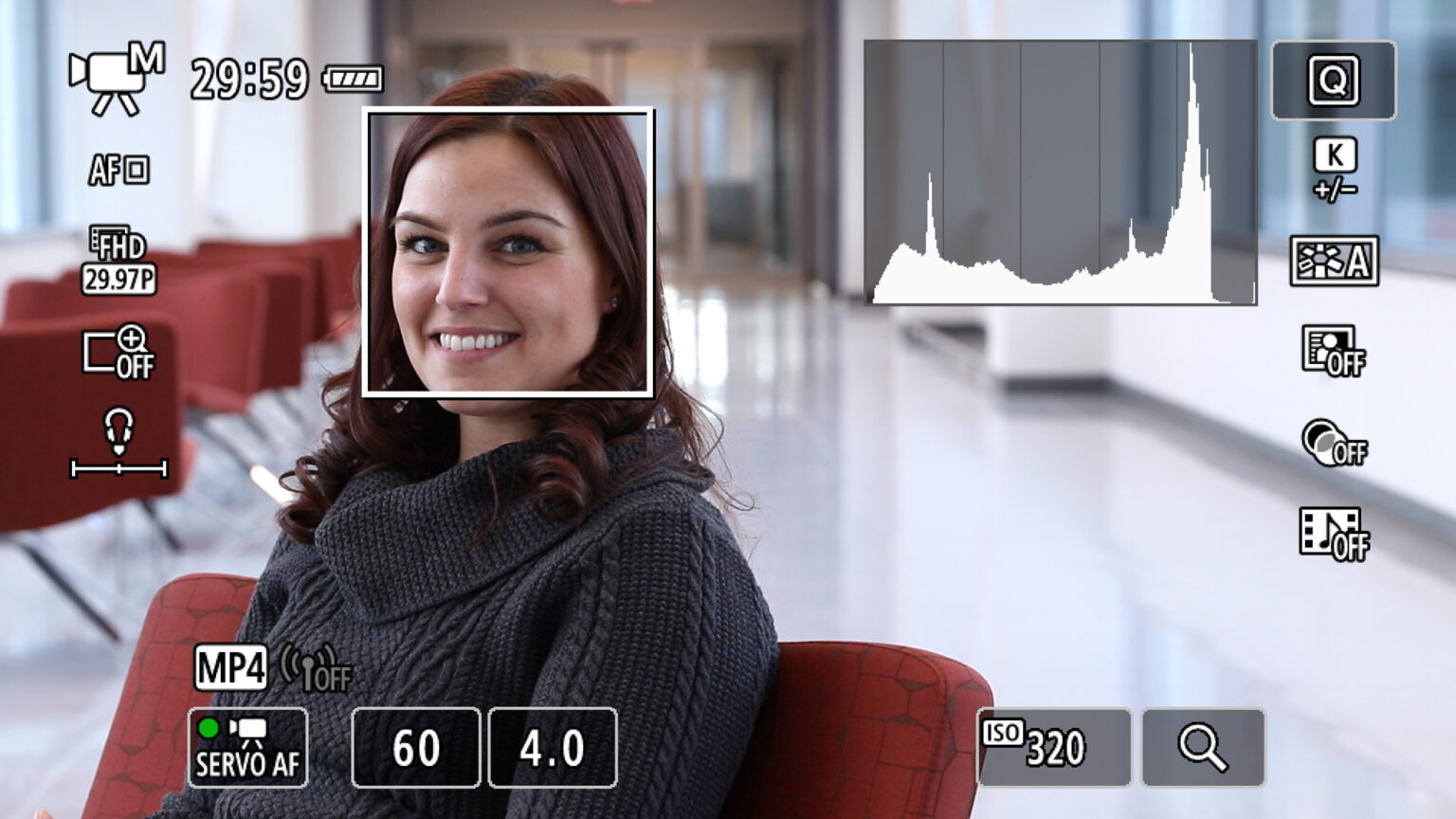 A guide to tonal range - Videomaker