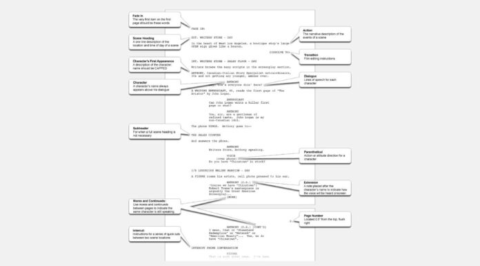 Screenplay vs. script: What’s the difference? - Videomaker