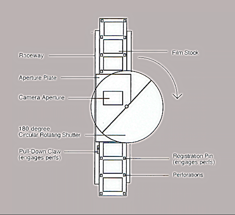 The Digital Insider | What’s shutter angle and why is it important?