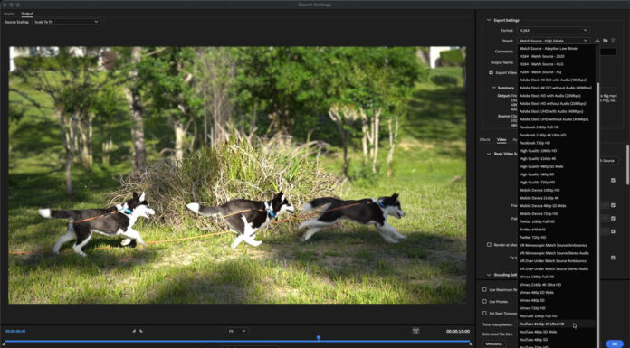 Why H.264 is the most popular video compression standard - Videomaker
