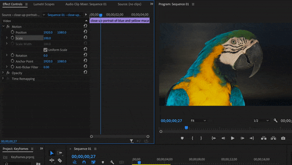 What are keyframes? - Videomaker