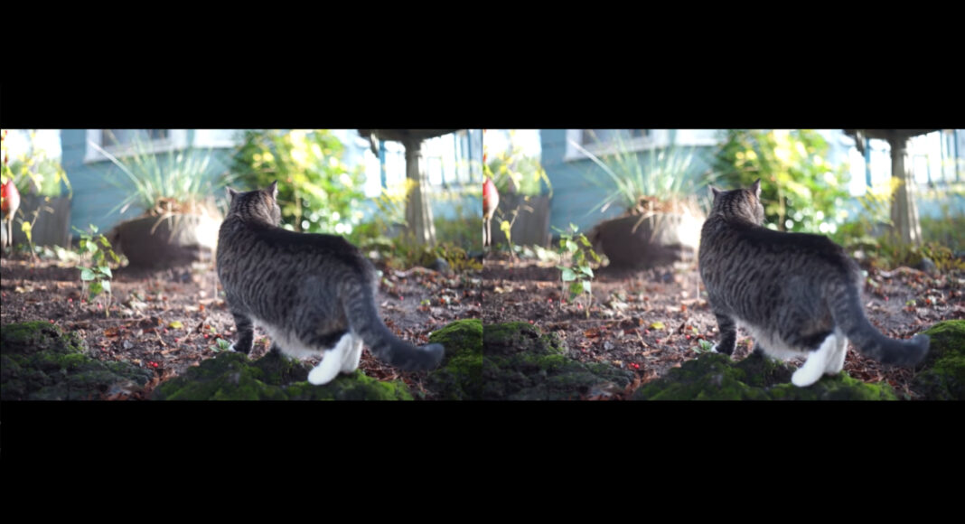 How to fix shaky footage on iOS, Android and PC - Videomaker