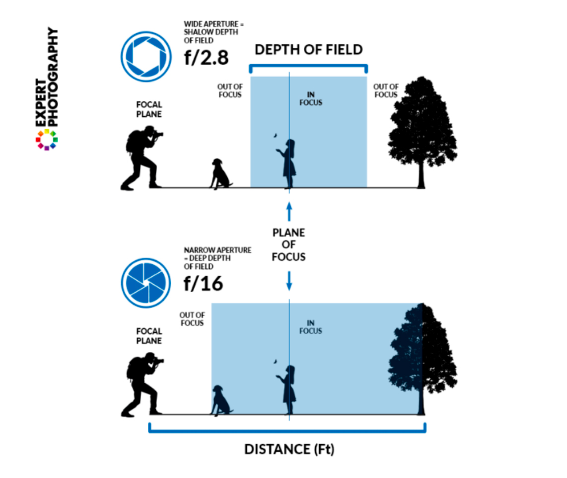 Everything you need to know about depth of field - Videomaker
