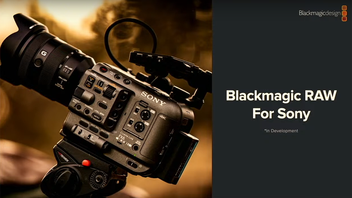 Blackmagic Design BRAW recording is coming to Sony Cinema Line cameras ...