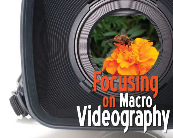Zoom In On Macro Videography - Videomaker