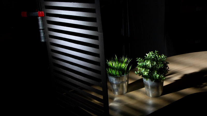 What is a cucoloris and how is it used on professional film sets ...